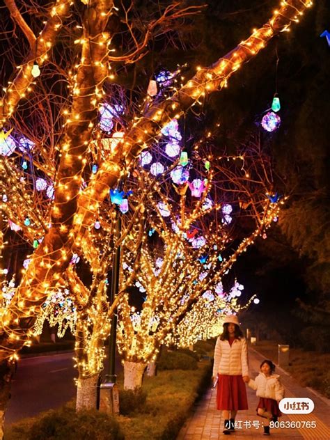 网红街灯 树 灯 景观亮化