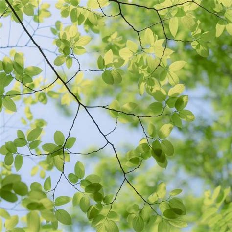 Excel单独vba制txt文件(一) 知乎 Excel单独vba制txt文件(一) 知乎