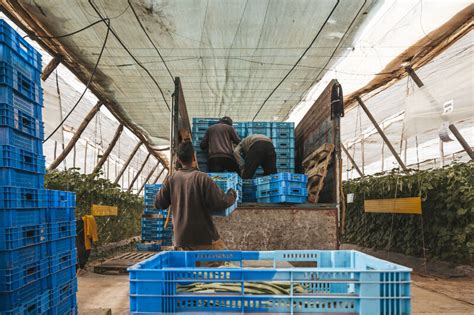 Flashbackfriday Robin Van Leeuwen