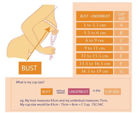 Bust Là Số đo Gì Các Khái Niệm Khác Về Bust Bạn Nên Biết