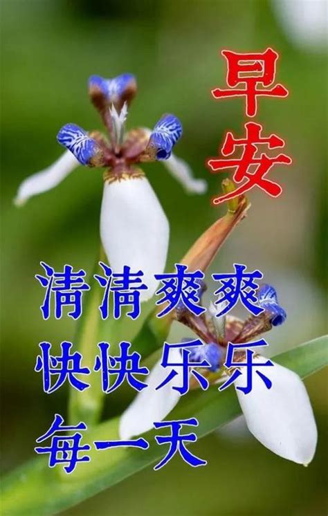 早上好图片最新图片 配图网