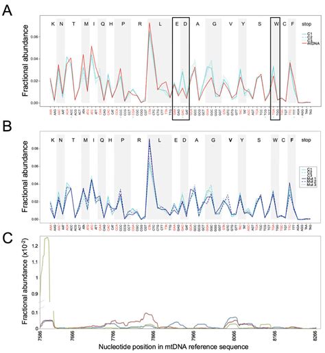 Mitochondrial Codon Usage In Control And Mutant Mitoribosome Download Scientific Diagram