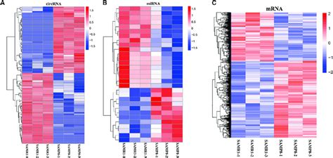 Cluster Analysis Using A Heatmap A Cluster Analysis Of Differentially Download Scientific