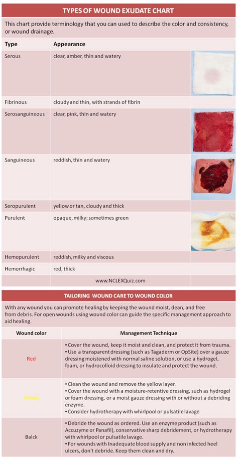 Types Of Wound Exudate Cheat Sheet NCLEX Quiz