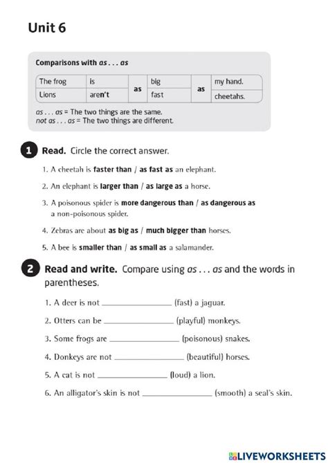 Quantifiers Interactive Activity For B1 Artofit