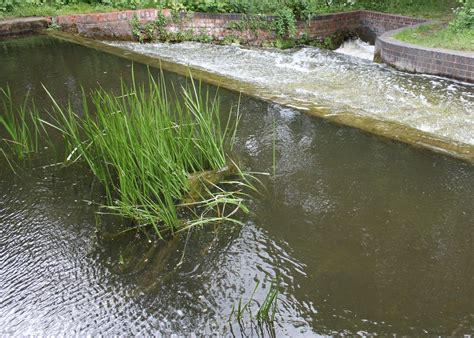 Bottom Lock Weir And Overflow Strourbridge Canal No 16 Lock… Flickr