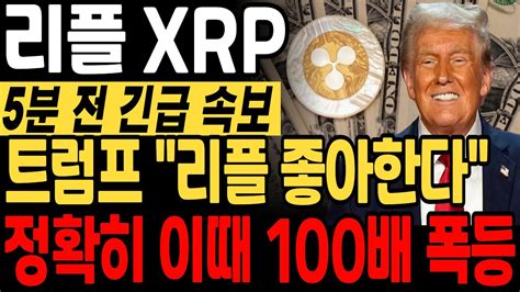 리플 전망 트럼프 리플 좋아한다 정확히 이때 100배 폭등 리플 Xrp 리플코인 Youtube