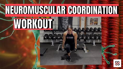 Do You Need A Workout For Neuromuscular Coordination Check Out This 7 Exercise Workout Youtube