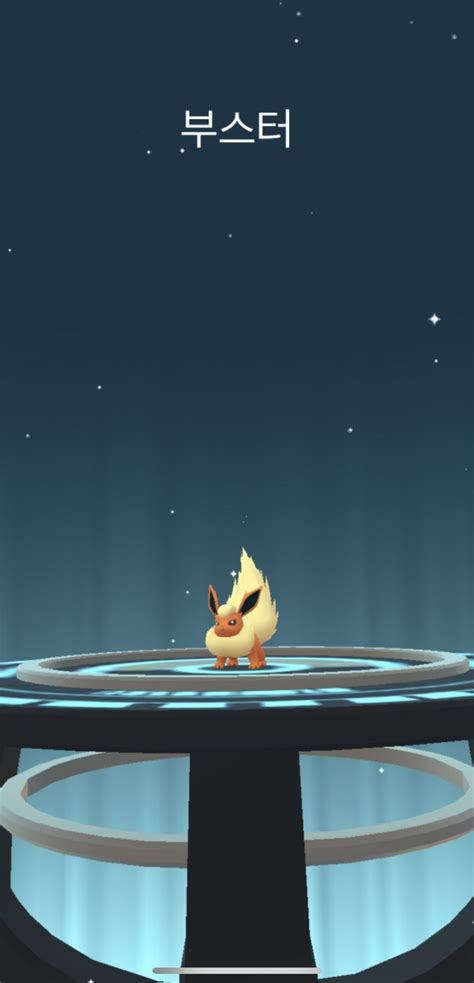 포켓몬고 이로치 이브이 8종류 진화 모음 이브이 커뮤니티 데이 이로치 색이 다른 님피아 글레이시아 리피아 샤미드 쥬피썬더 부스터 에브이 블래키 네이버 블로그