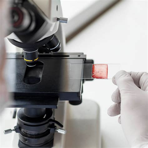 Food Biological Contamination Testing E Coli Salmonella Listeria