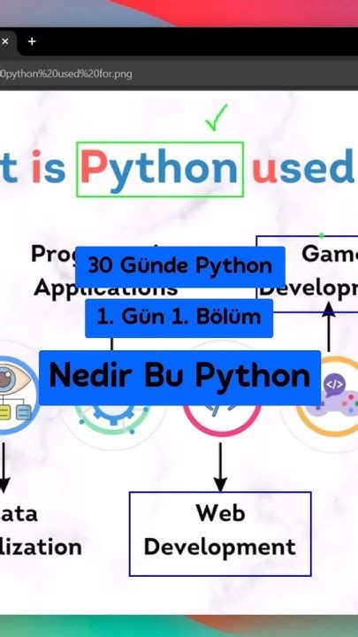 Python Nedir 30 Günde Python Öğren 1 Gün 1 Bölüm Youtube