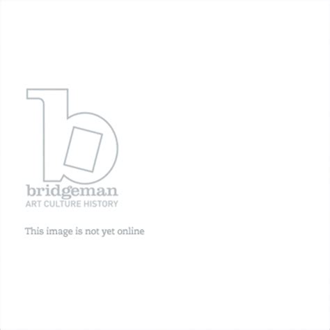 Image Of Virgin And Non Virgin Vulva Anatomy 1866 Illustration