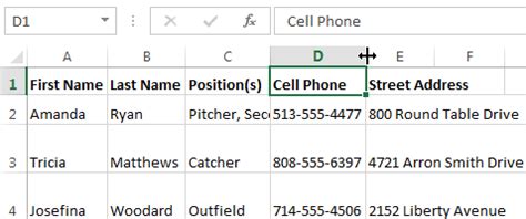 Excel 2013 Modifying Columns Rows And Cells