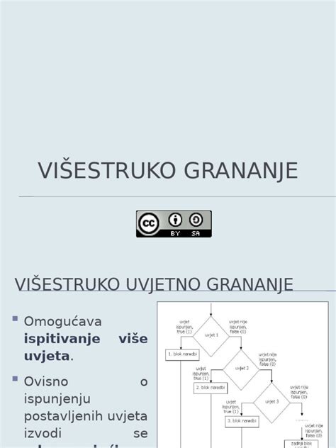 9 Cpp Struktura Grananja Visestruka Grananja Pdf 9 Cpp Struktura Grananja Visestruka Grananja Pdf