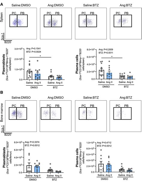 Bortezomib Treatment Reduces Plasmablasts And Plasma Cells In The