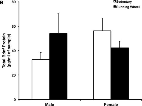 Figure 5 From Sex Dependent And Independent Effects Of Long Term