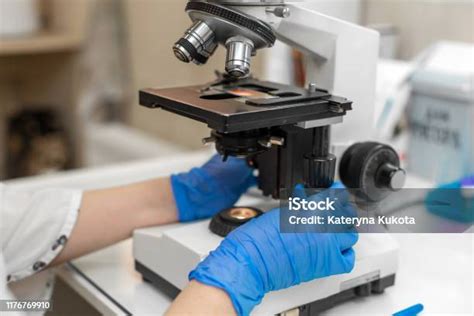 현미경으로 실험실 기술자 연구 혈액 샘플을 닫습니다 Stem 주제에 대한 스톡 사진 및 기타 이미지 Stem 주제 건강 진단 건강관리와 의술 Istock