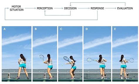Loop Model Of Motor Learning Theory Adapted From Marteniuk 1976 A Download Scientific