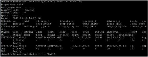 Identifying Long Connections With Brozeek Active Countermeasures