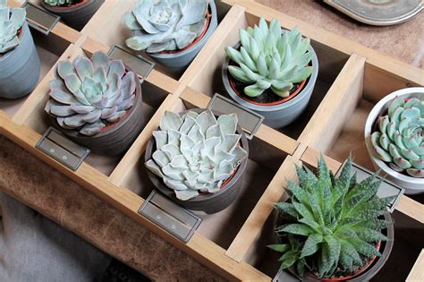 Comparing Learning Theories Applied Learning Theory Medium Comparing Learning Theories Applied Learning Theory Medium