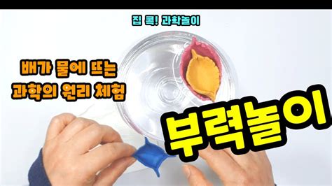 집 콕 과학놀이 44화 부력놀이 I 유아놀이 I 과학놀이 I 과학실험 I 놀이상호작용 I 놀이중심 I 집콕놀이 I 간단놀이 I 어린이집 I 보육 I 육아 I 서육종