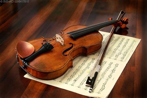 Shirley Violin