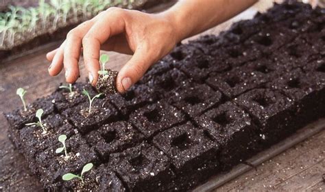 Soil Block La Landscape Supply