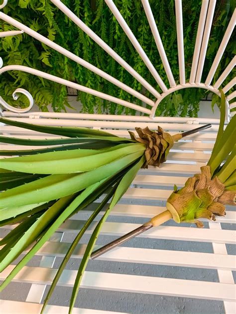 AGAVA – Natural Living