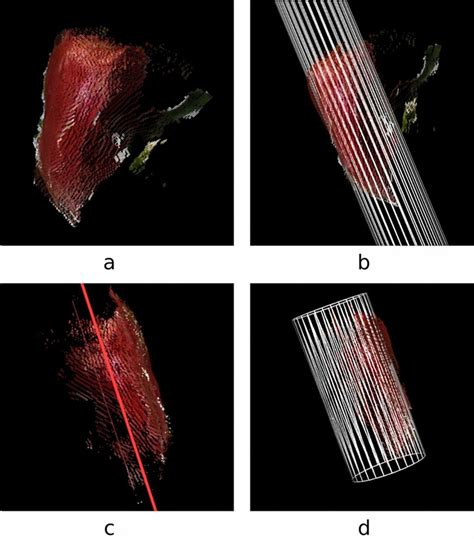 6dof Pose Estimation Using Cylinder Fitting Image A Shows The Subcloud Download Scientific
