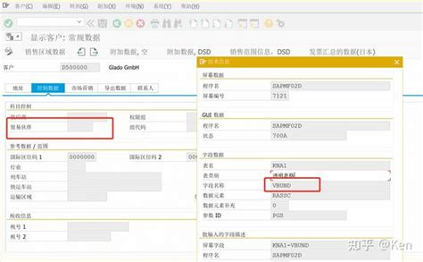 Sap 客户主数据 贸易伙伴的定义 知乎