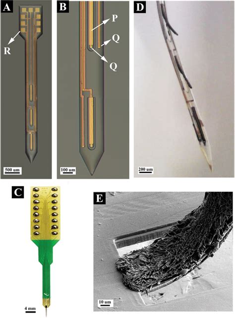A Proof Of Concept For Utilization Of Osnts Device For Movable Neural Download Scientific
