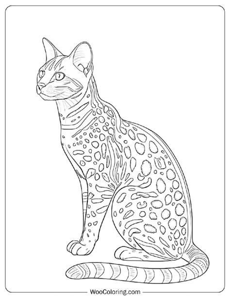 Realistic Coloring Pages Of Cats
