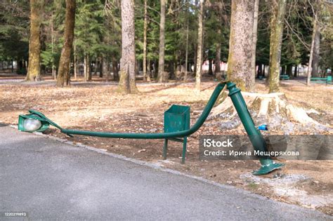 공공 레크리에이션 공간을 청결하게 유지하기 위해 금속 쓰레기통 배경에 아름 다운 조밀 한 응비 나무 도시 공원의 아스팔트 골목의 보도에 기물 파손에 의해 반으로 부서진