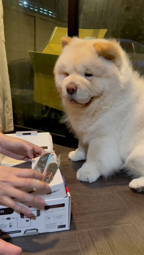 รีวิว Nintendo Switch 2 จารย์โกย โคตรใช่ Facebook