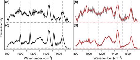 Nonresonant Raman Spectroscopy Of Isolated Human Retina Samples Complying With Laser Safety