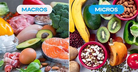 What Are Macro Nutrients And Why Are They Important Trainest