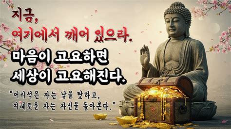 내려놓아라 어리석은 자는 남을 탓하고 지혜로운 자는 자신을 돌아본다 ” 가르침 명언 인생 성공 행운 명상