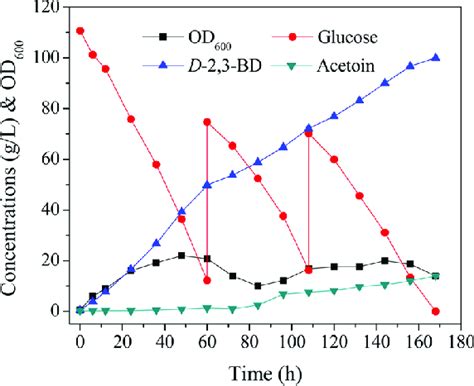 Time Course Results Of The Fed Batch Fermentation With Bacillus Spp Download Scientific