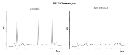 Hplc Chromatogram Interpretation