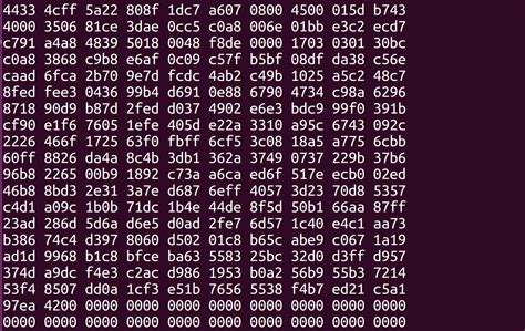 一文教你如何用c代码解析一段网络数据包?【含代码】 知乎 一文教你如何用c代码解析一段网络数据包?【含代码】 知乎