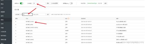 通过宝塔辅助部署本地python爬虫项目到阿里云轻量服务器宝塔部署python项目 Csdn博客
