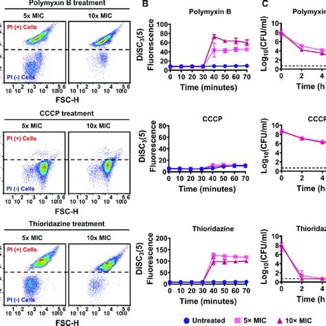 Proton Motive Force PMF Inhibitors Increased Membrane Permeability Download Scientific