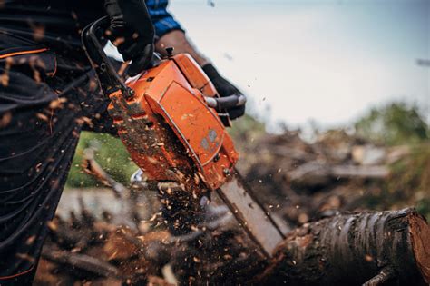 한 남자가 전기 톱으로 나무를 자르고 장작을 준비합니다 벌목꾼에 대한 스톡 사진 및 기타 이미지 벌목꾼 클로즈업 사슬톱 Istock