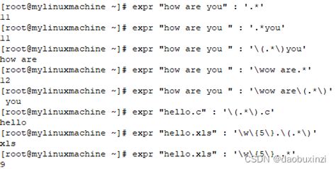 Shell脚本 Expr命令全解shell Expr Csdn博客