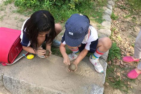 Hikaru Dorodango Where The Leaves Fall