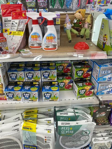 날파리 없애는법 퇴치 다이소 초파리 트랩 퇴치제 찐후기 네이버 블로그