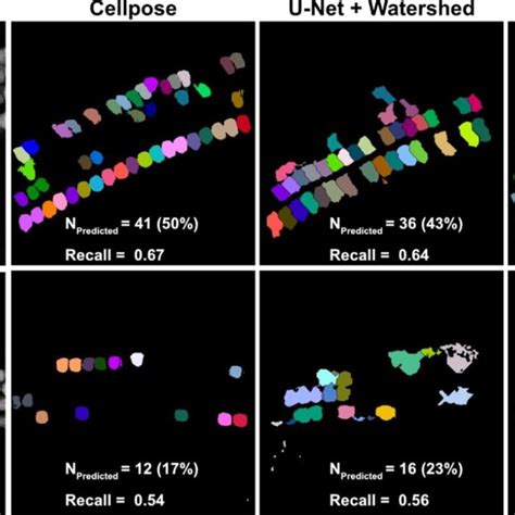 Example Segmentation Outcomes Of Three Different Segmentation Methods