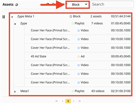 Creating Program Blocks Zype