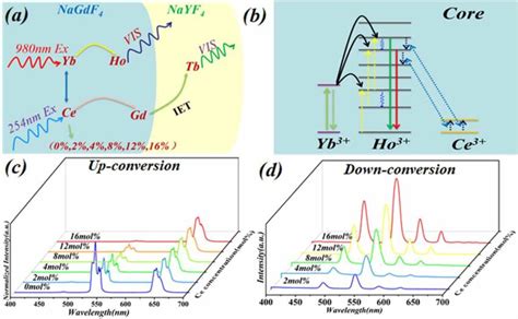 A B Schematic Diagram Of Uc Emission From The Designed Coreshell Download Scientific