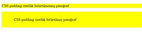 Css Paddİng Nedİr Kullanimi Nasildir